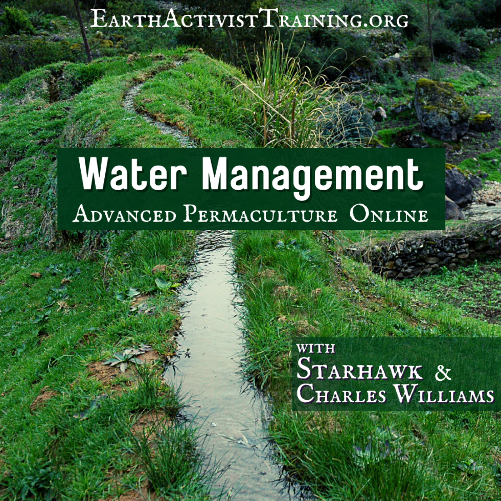 2026 AP Water | Earth Activist Training